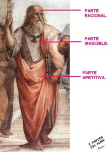 Las Partes del Alma según Platón: Una Guía para la Armonía interior